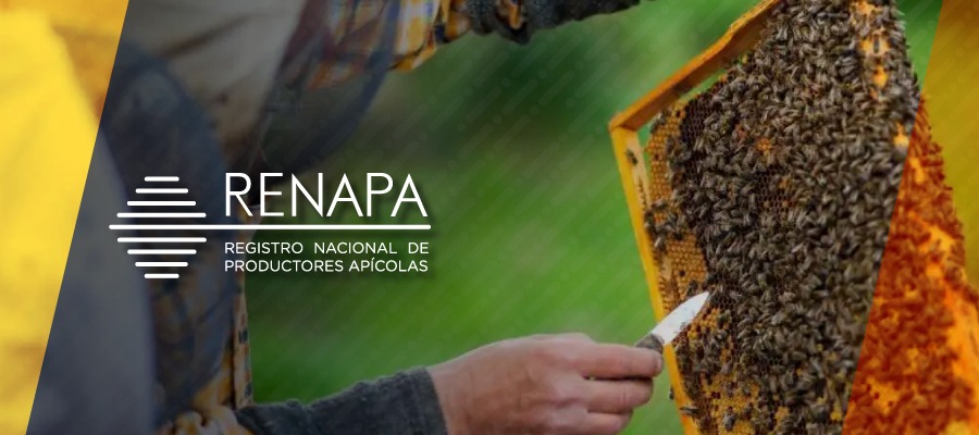 Producción | Municipio de Lobos